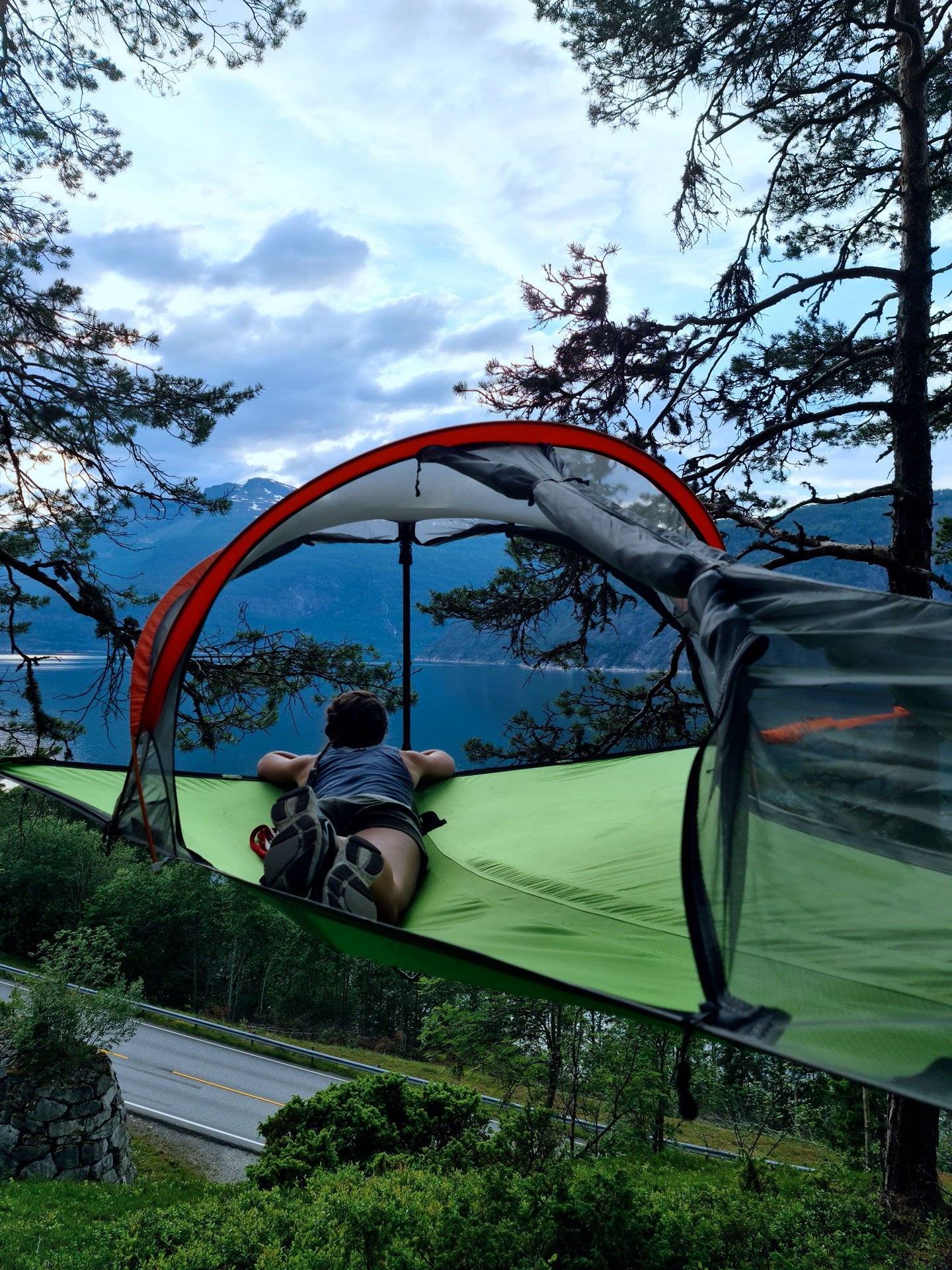 Tree Tenting - Estangard