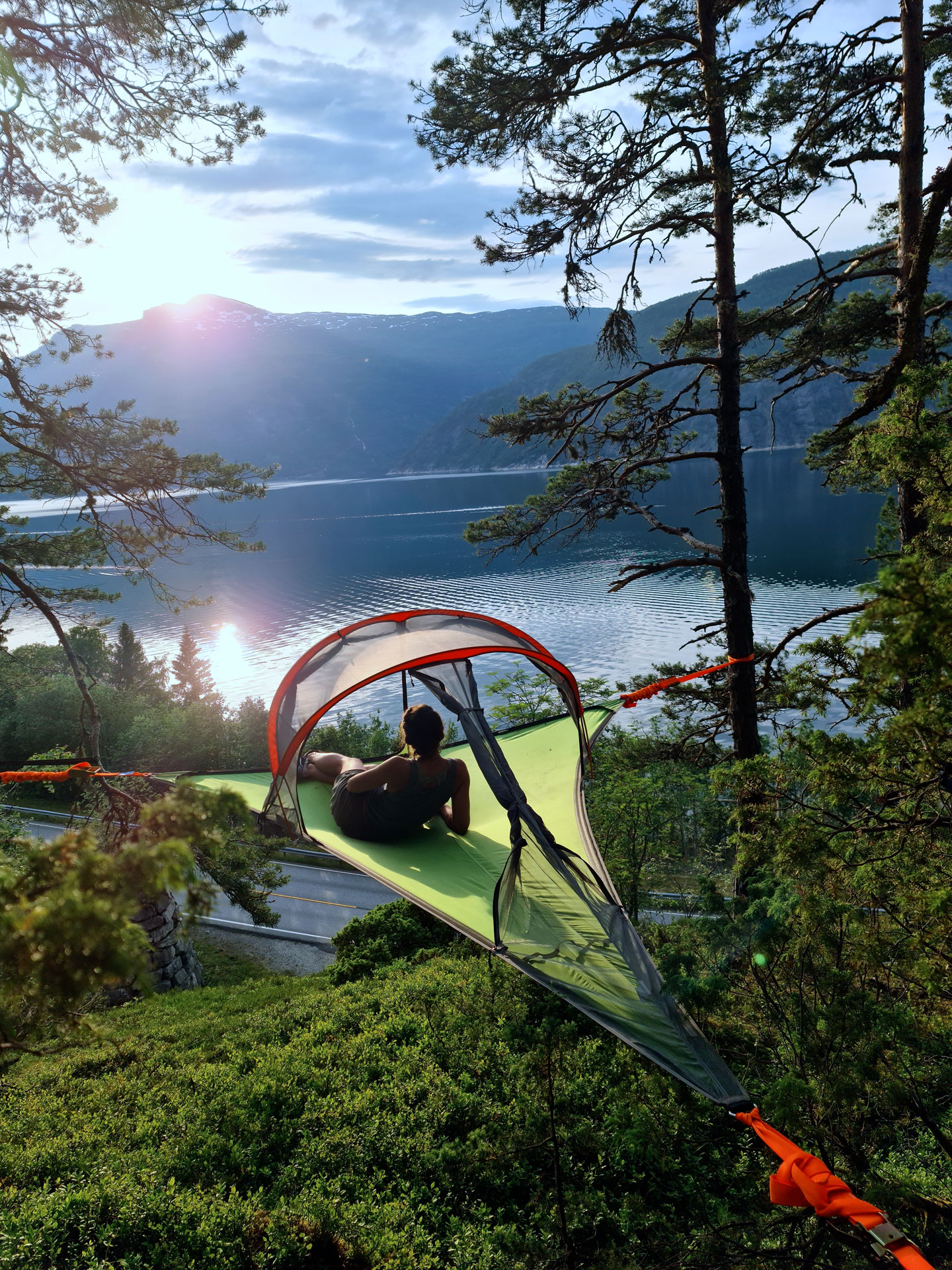 Tree Tenting - Estangard