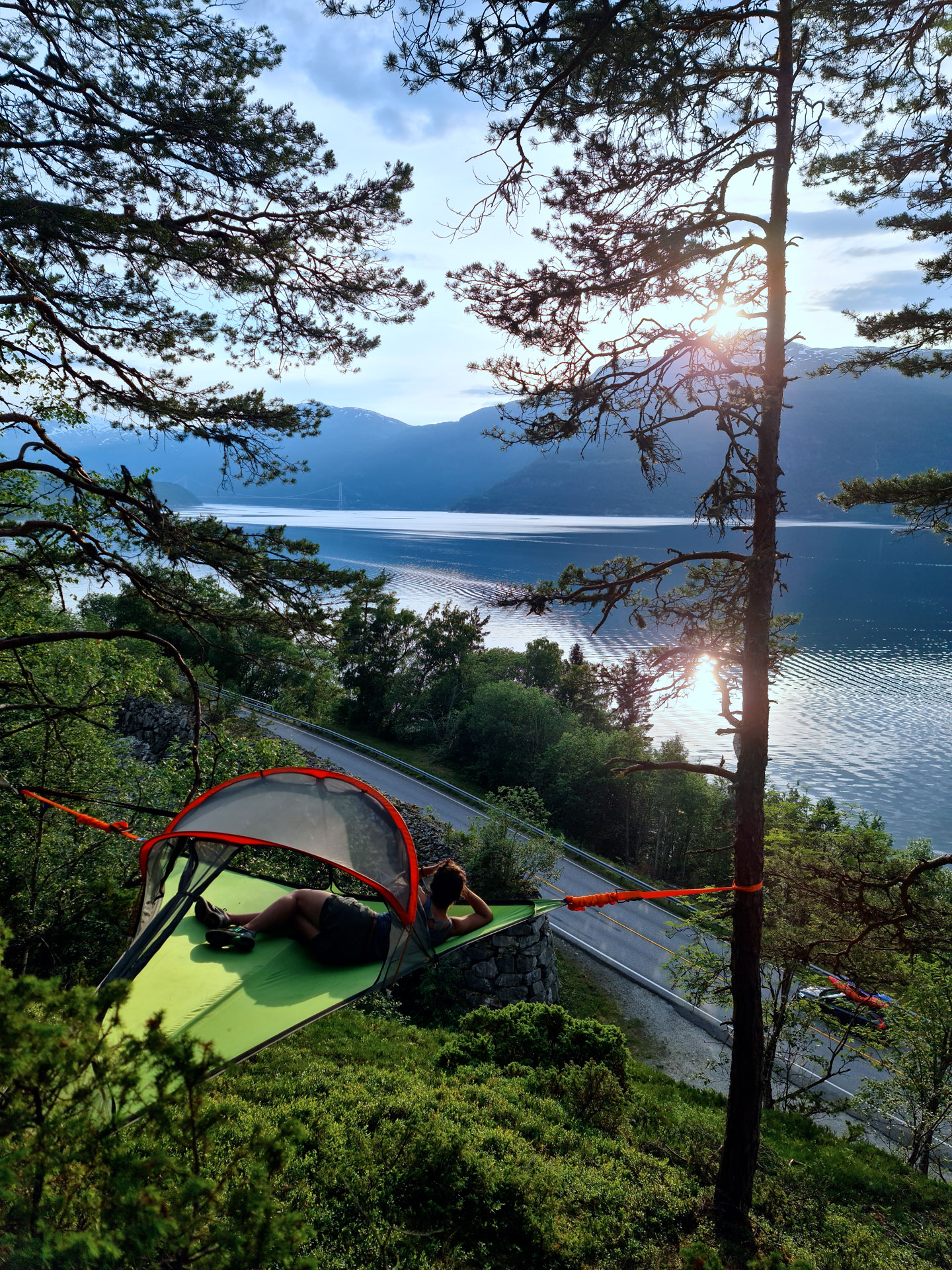 Tree Tenting - Estangard