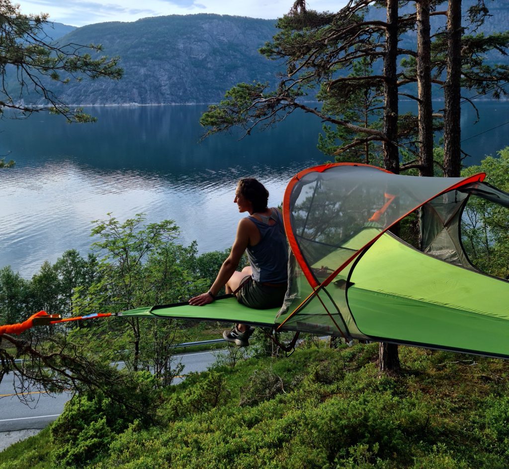 Book Tree Tenting - Estangard