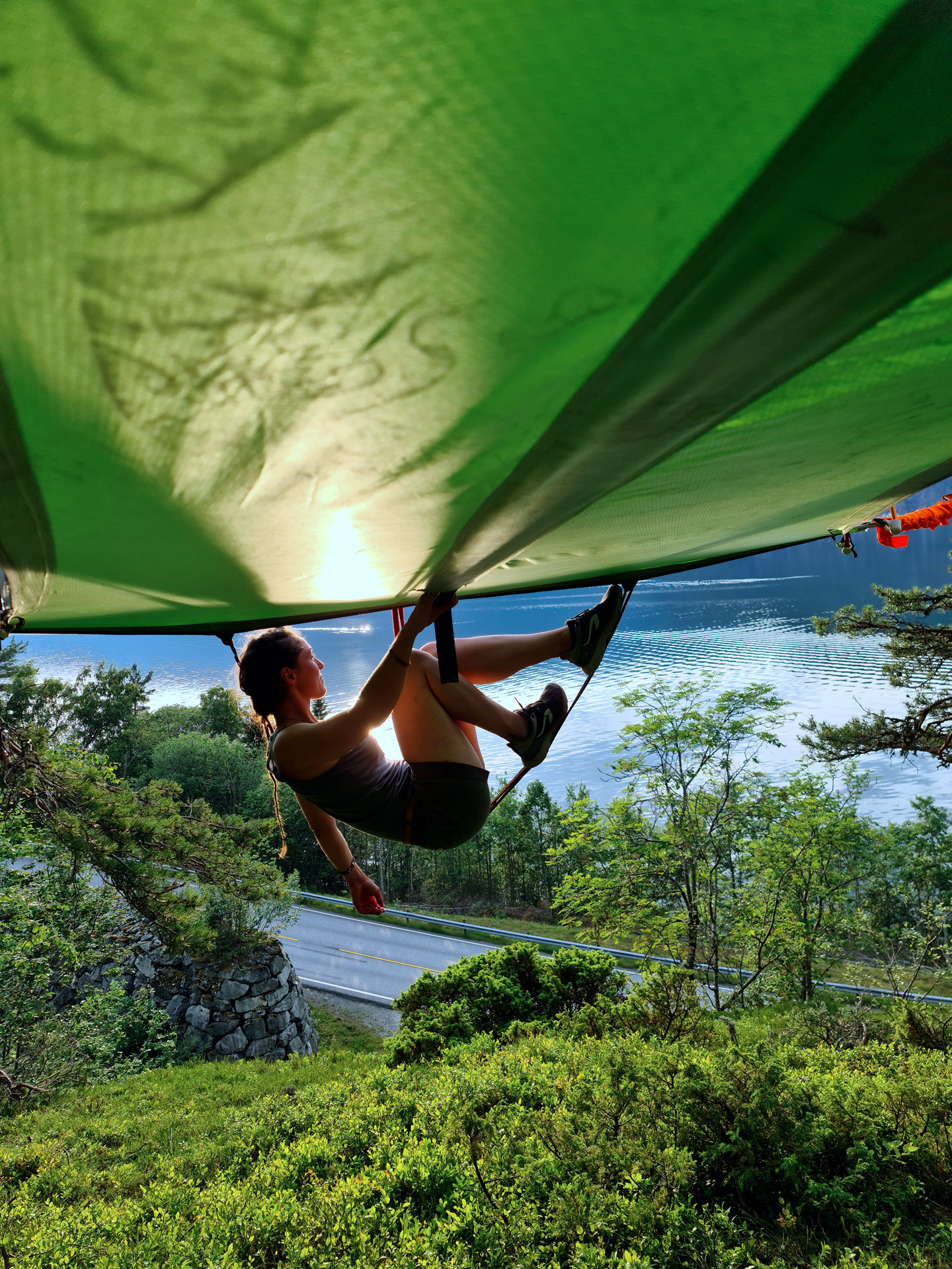 Tree Tenting - Estangard